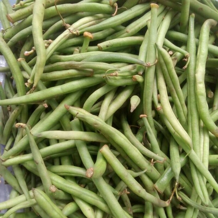 Bins vegetable store